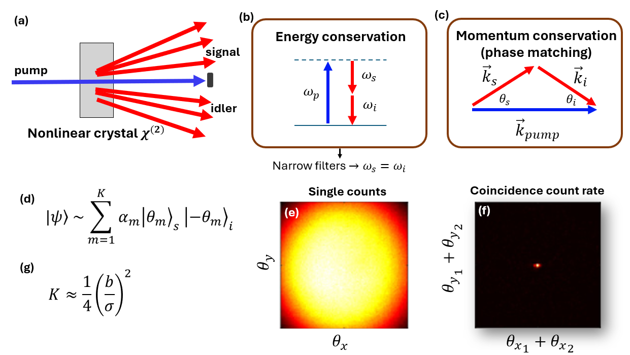 SPDC - Introduction to spatial entanglement - Raicol Crystals