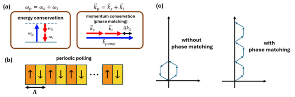 Quasi phase matching with periodic poling - Raicol Crystals